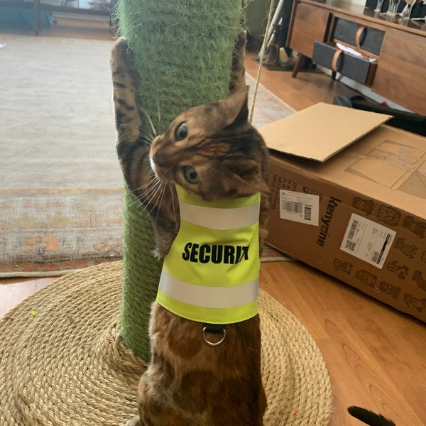 Security. Water-repellent Green Safety Cat Harness With Reflective ...