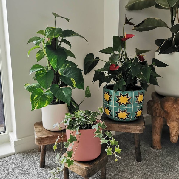 Rustic Wooden Plant Pot Stand Family - Etsy