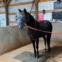 1913 Expedition of Citizenship Rodman Wanamaker Black White Photo Print ...