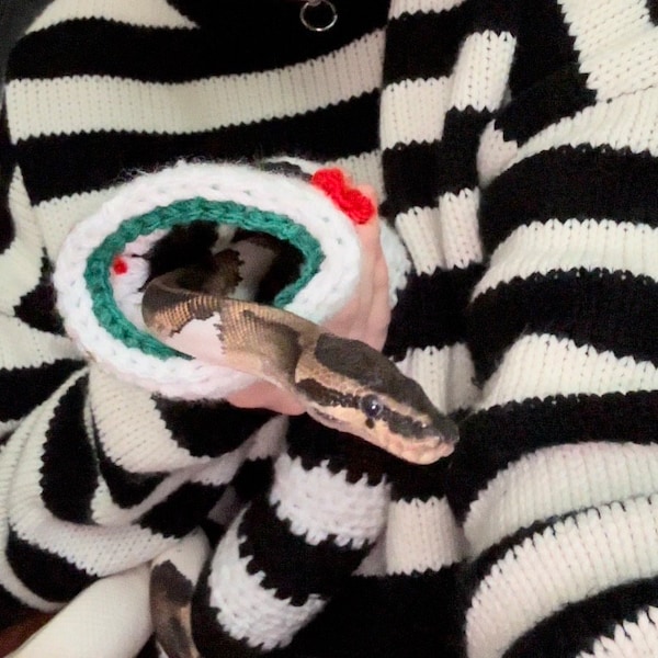 Sandworm Snake Sweater | Halloween Costume | Crocheted Snake Sweater ...