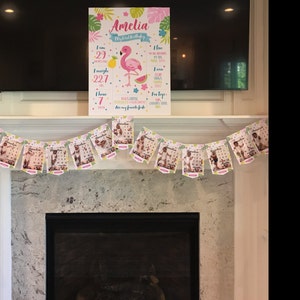 Flamingo Sign. First Birthday Poster. Milestone Poster. Flamingo ...