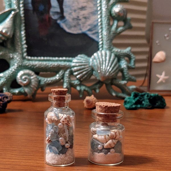 Seashells 100 Pk Miniature Conch Shells for Zen Garden, Terrarium or ...