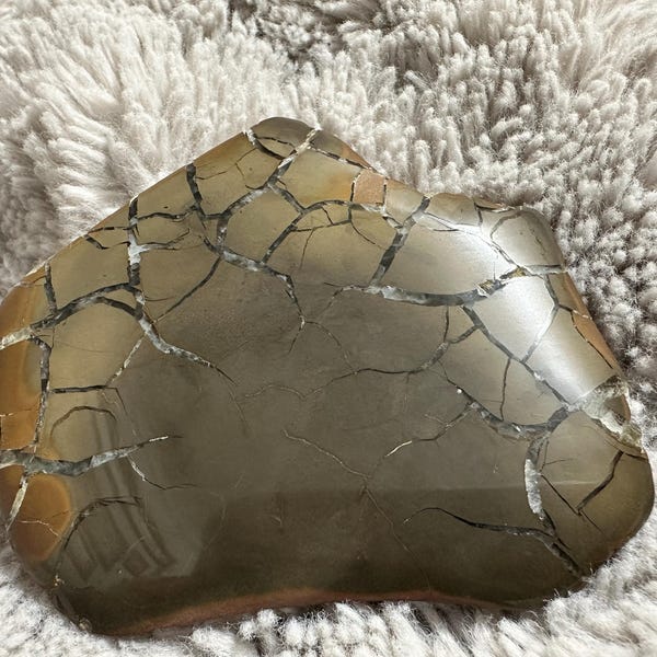 I LICK ROCKS Sticker Funny Rock Stickers Agate Dad - Etsy