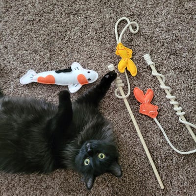 Cat Teaser Toys jellyfish Cat Wand Toy Organic Catnip, Ribbons and ...