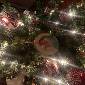 Tequila Shot Sticker Mexican Sticker Painting Sticker - Etsy