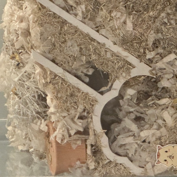 Hamster Stairs, Staircase, Ladder, Bridge, in Natural Wood (hamster ...