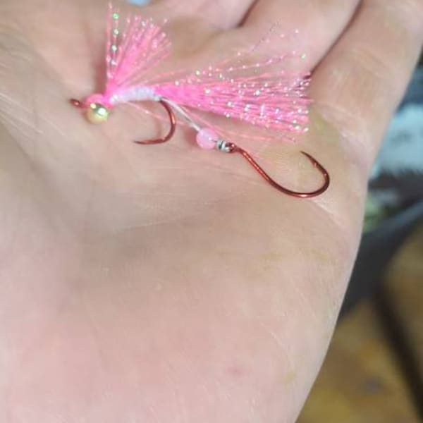 Chinook / Coho Roe Bug Spinner Fishing Lure - Etsy