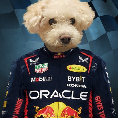 Red Ball, Formula Racing Car, F1 Driver Team Pet Portrait, Custom Dog ...