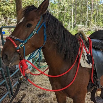 Handmade Bosal Set, 40 Plaits Rawhide Natural Bosal Set, Bosal Set ...