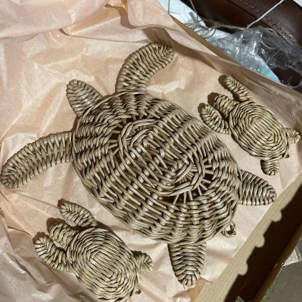 Set of White Turtle Wicker Hanging Decor, White Wicker Nautical Wall ...