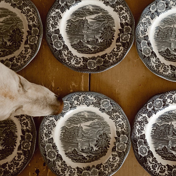 COCKATRICE GREEN by Minton Dinner Plate, Antique Minton Globe Back ...