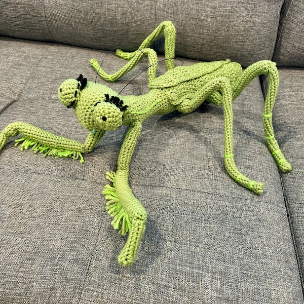 Praying Mantis Crochet Pattern - Etsy