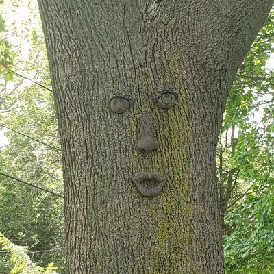 Tree Face - Etsy