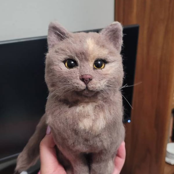 Cat Loss Memorial, Custom Stuffed Pet of Your Dog Cat, Handmade Pet ...