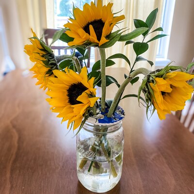 Handmade Pottery Mason Jar Topper Propagation Station - Etsy