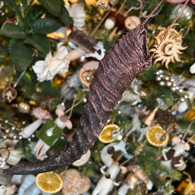 Springbok Horn Wall Hanging / Seven Colors / Eclectic Boho - Etsy