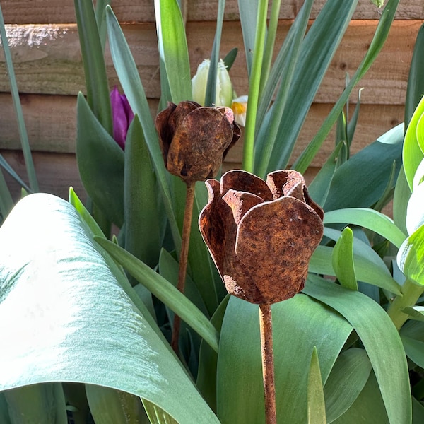 Large Metal Poppy Seed Heads. Rusted Sculptures for the Garden. Garden ...