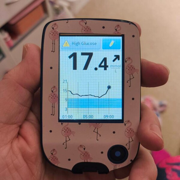 Dexcom G7/dexcom ONE Sensor Sticker staycation Collection 4pk - Etsy