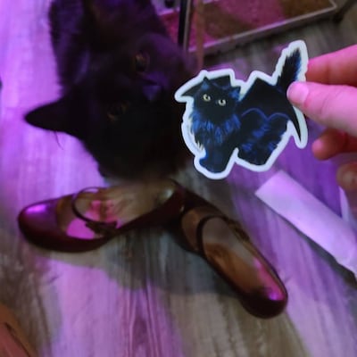 Raining Cats 12x20 Print, Internet Cats, Smudge, Lil Bub, Grumpy Cat ...