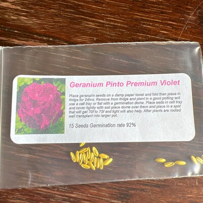 15 Seeds Geranium Apache Red Geranium Seeds - Etsy