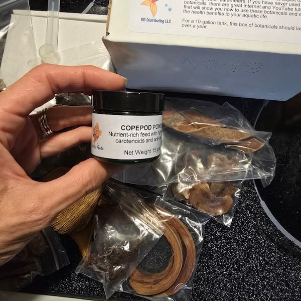 LOTUS POD LOT Natural Botanical Dried Seed Pods for Crafting, Potpourri ...