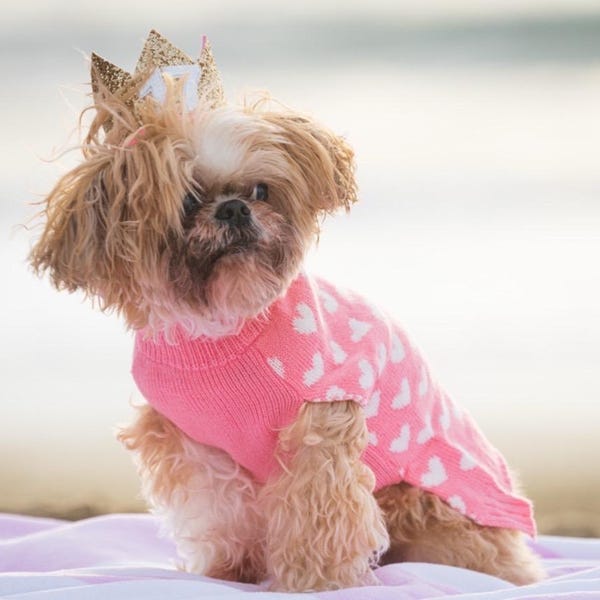 Dog Birthday Crown | Pet Birthday Crown | Dog Crown | Pet Crown Dog ...