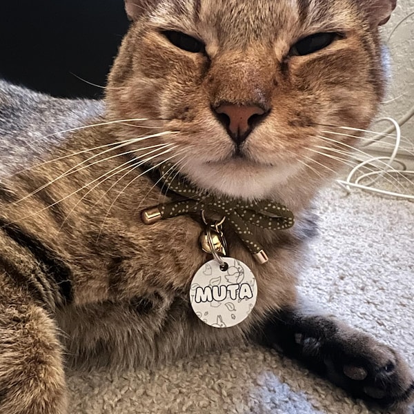 Lucky Charms Personalized Pet Tag, Cute Cereal Pet ID Tag, Custom QR ...