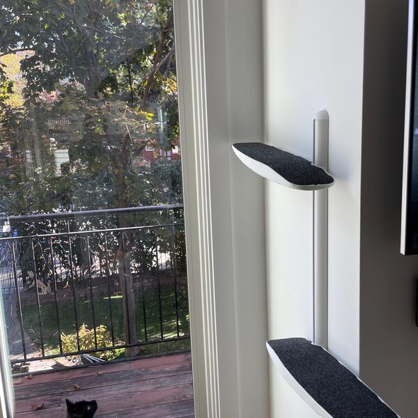 Cat Tree & Shelves for Wall. Custom Cat Wall That Combines A Six-foot ...