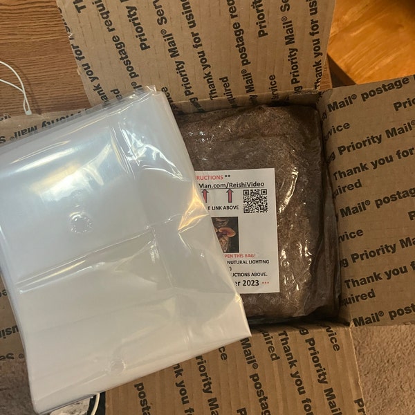 Morel Mushroom Kit - Etsy