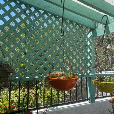 Hand Forged Leaf End S-hooks, Leaf S-hooks, Plant Hanger Hook, Organic ...