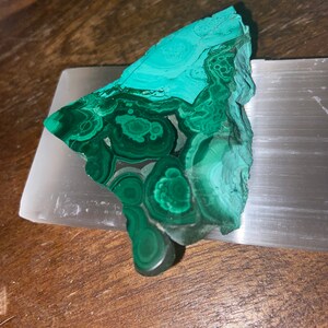 Pick Your Favorite Wolf Paw Totem Stone Spirit Animal | Etsy