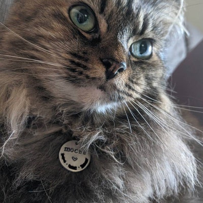 Handmade Custom Hand-stamped Dog/cat Tag the zeus Extra Small ...