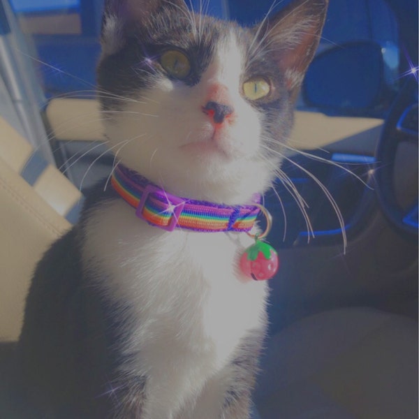 Cat Bell Cute Jingle Bell / Cat Collar Bell / Cat Collar With Bell ...