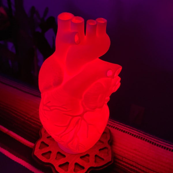 Human Heart - 3D Printed Accent Lamp, Anatomical, Table Lamp, Novelty ...