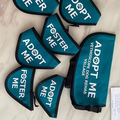 5-pack ADOPT ME Bandana Scarf for Rescue Dogs - Etsy