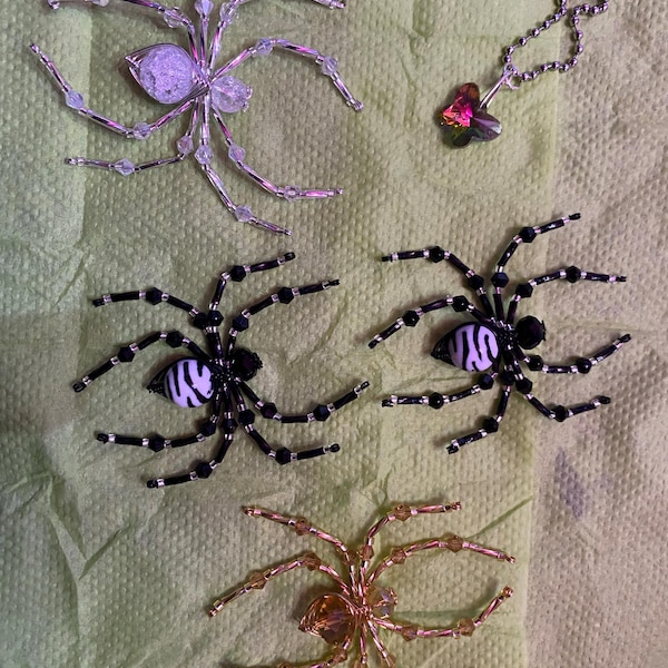 Goldilocks Spider is Looking for a Home - Halloween, Goth, Pagan ...