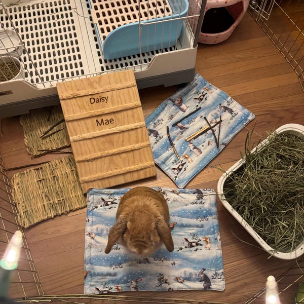Hay Bag for Rabbits and Guinea Pigs, Rabbit Hay Feeder, Rabbit Owner ...
