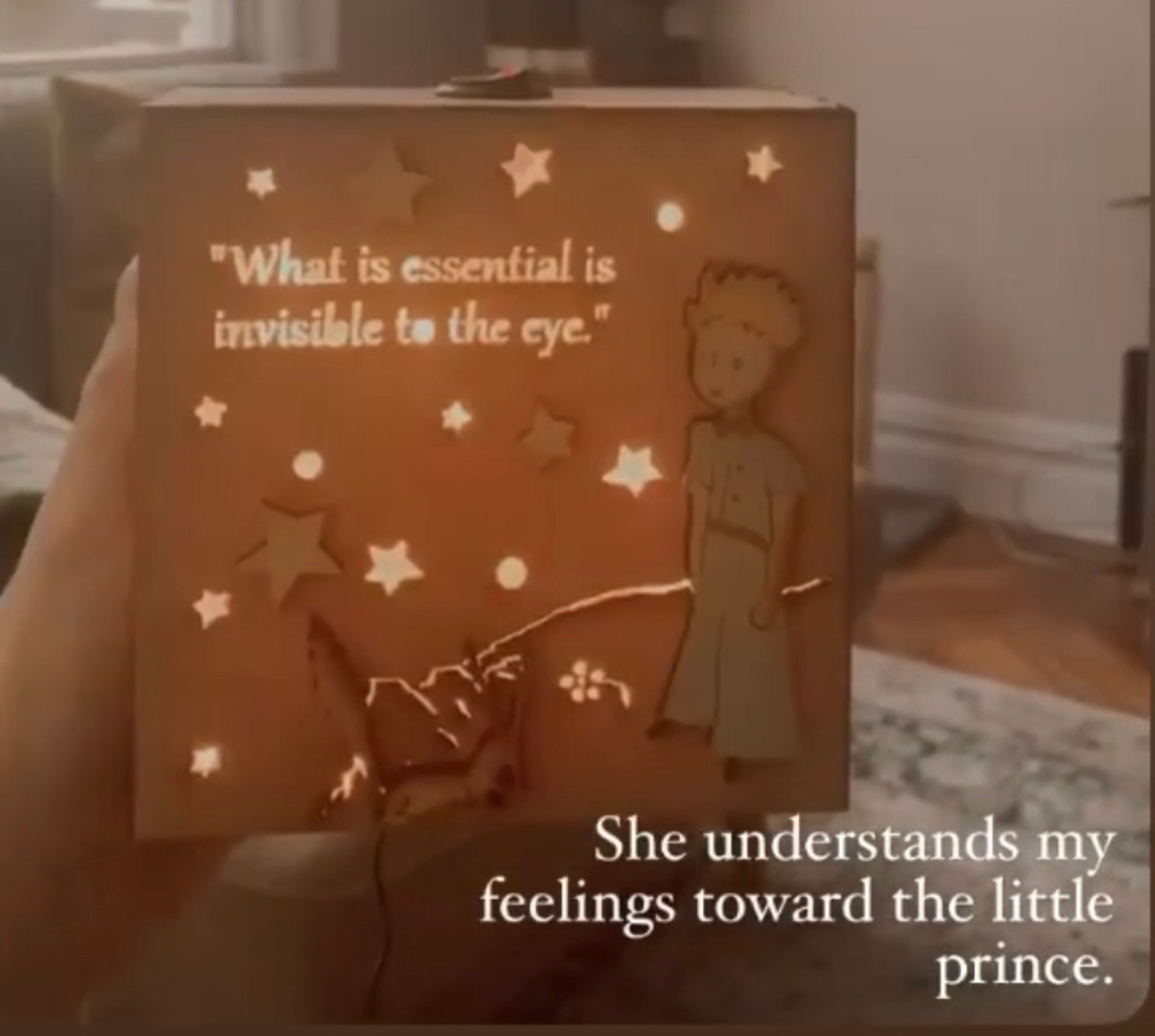 The Little Prince Night light / Wood box night light / light box