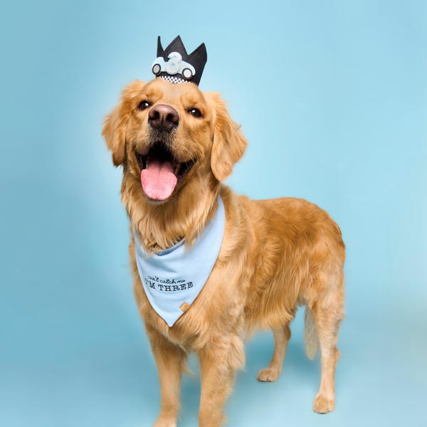 Tin Man Funnel Hat, Tin Man Costume, Tin Man Cosplay, Costume Accessory ...