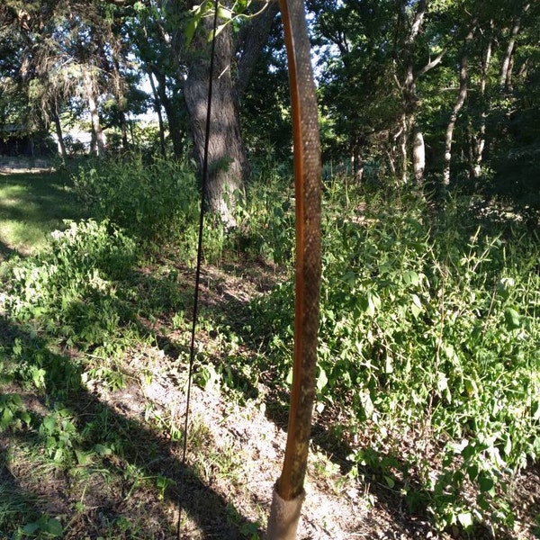 SNAKE BACKED OSAGE Bow ~ Backed With Skins From Snakes Harvested in ...