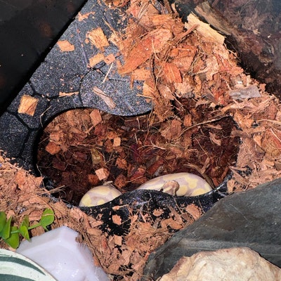 Aquarium/terrarium Corner Tunnel Fish Cave Fish Hide Reptile Hide 2 ...