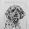 Bijon Art, Bijon Drawing, ORIGINAL Drawing, Bijon Sketch, Dog Art, Dog ...