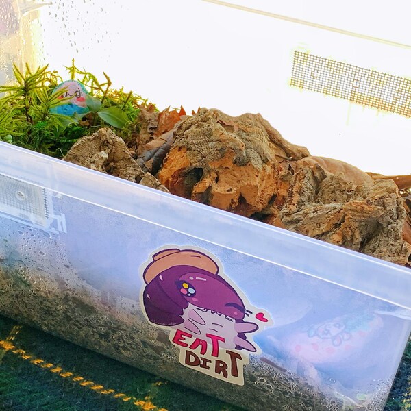 Rubber Ducky Isopod Sticker - Etsy