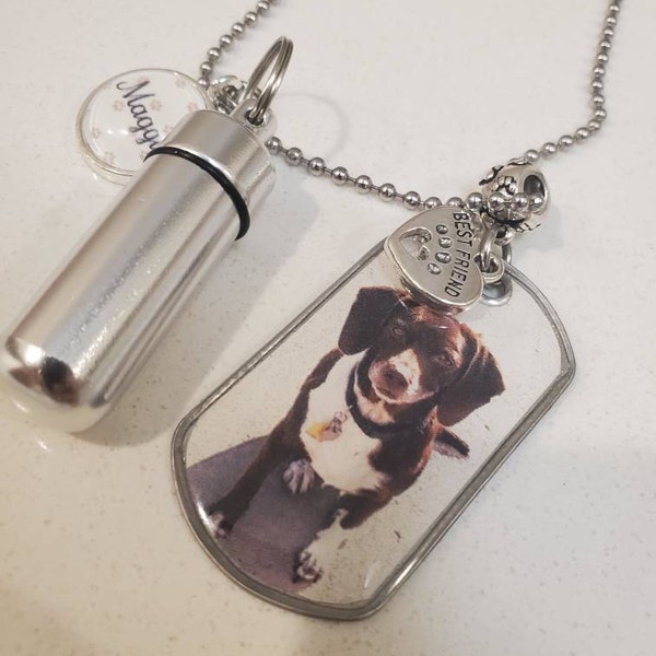 Pet Memory Dog Tag and Cremation Urn Loss of Cat, Loss of Dog Necklace ...