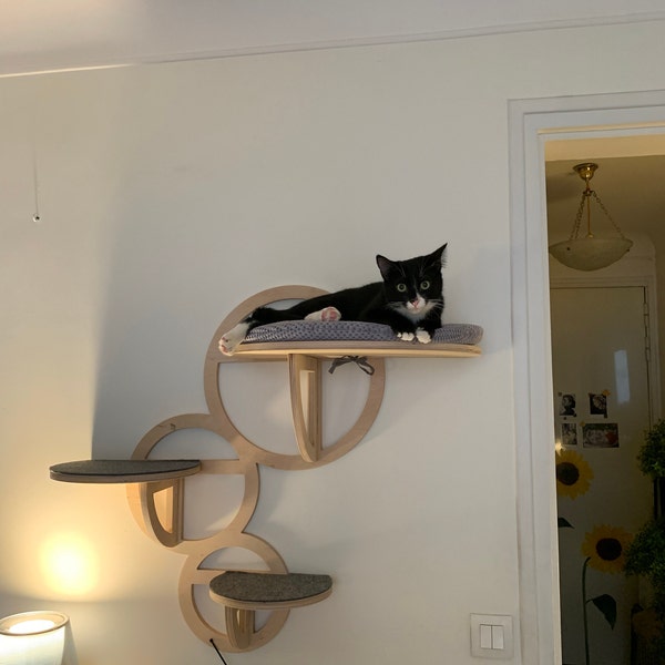 Bubble Cat Shelf With Steps: Modern Birch Climbing Wall - Etsy