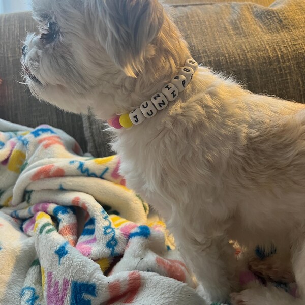 Personalized Dog Collar With Name,bead Dog Collar, Custom Dog Collar ...