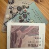 HIKARU Noguchi Darning Brooches Japanese Craft Book - Etsy