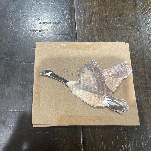 Box Turtle Print, Box Turtle Art, Box Turtle Painting, Nature Wall Art ...