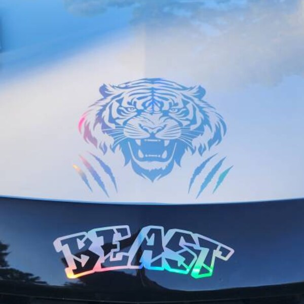 Wings Decal Wings Car Sticker Wings Set of 2 Vinyl Decal Wings Car ...