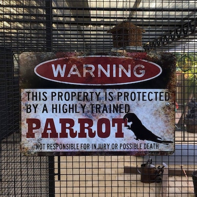 Parrot Sign,funny Metal Signs,parrot Accessories,bird Sign,parrot ...
